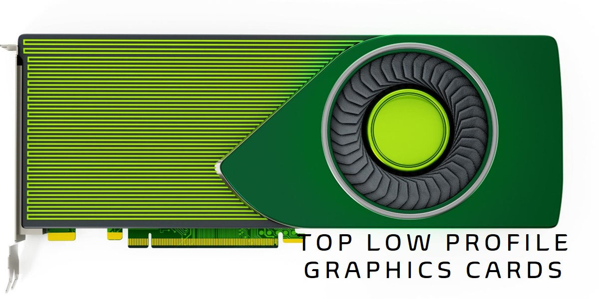 Best Low Profile Graphics Card in 2024 - Nvidia and AMD Options